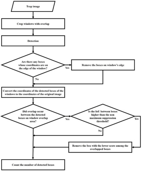 Automatic Pest Counting from Pheromone Trap Images Using Deep Learning Object Detectors for ...
