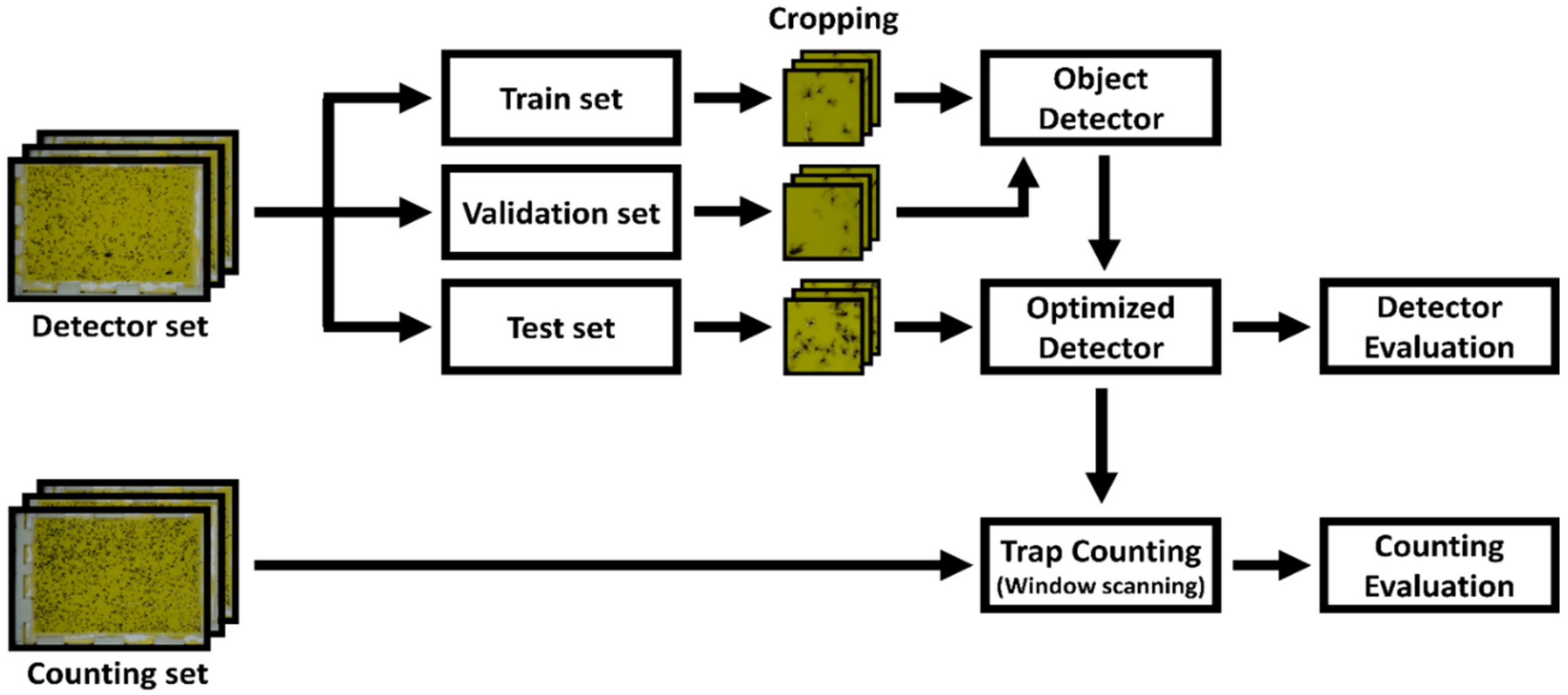 Automatic Pest Counting from Pheromone Trap Images Using Deep Learning Object Detectors for ...