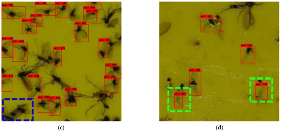 Automatic Pest Counting from Pheromone Trap Images Using Deep Learning Object Detectors for ...