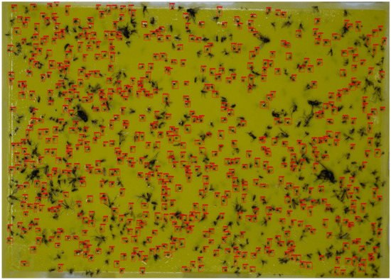 Automatic Pest Counting from Pheromone Trap Images Using Deep Learning Object Detectors for ...