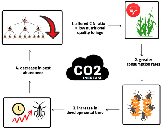 The Impact of Climate Change on Agricultural Insect Pests