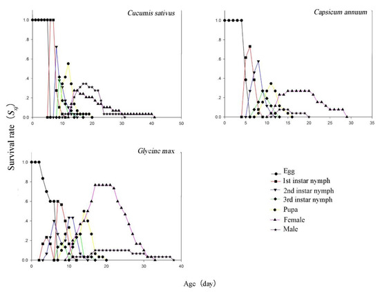 Effect of Different Plants on the Growth and Reproduction of Thrips ...