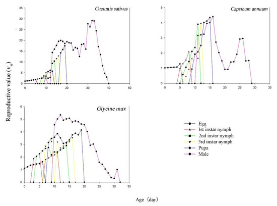 Effect of Different Plants on the Growth and Reproduction of Thrips ...