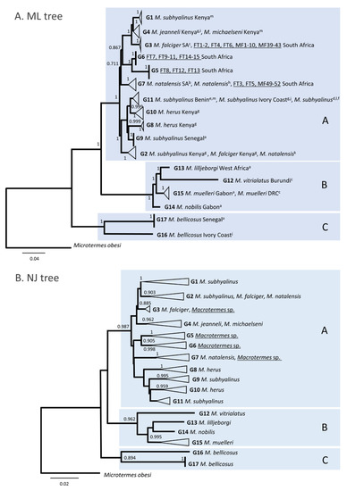Overview of the Genetic Diversity of African Macrotermes (Termitidae ...