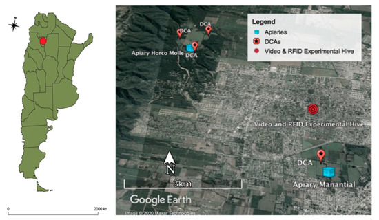 Analysis of Honeybee Drone Activity during the Mating Season in ...