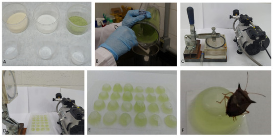 Monitoring Resistance of Euschistus heros (Fabricius) (Hemiptera ...