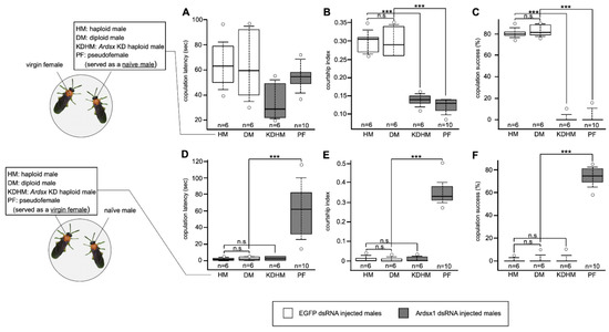 Effects of Functional Depletion of Doublesex on Male Development in the ...