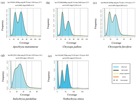 Low-Coverage Whole Genomes Reveal the Higher Phylogeny of Green Lacewings
