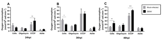 Monitoring Mitochondrial Function in Aedes albopictus C6/36 Cell Line ...
