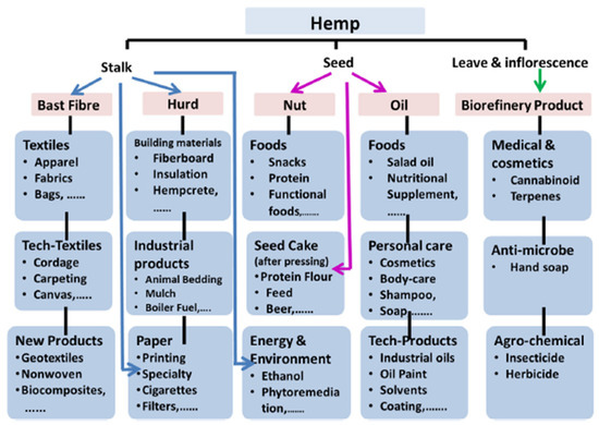 Hemp Pest Spectrum and Potential Relationship between Helicoverpa zea ...