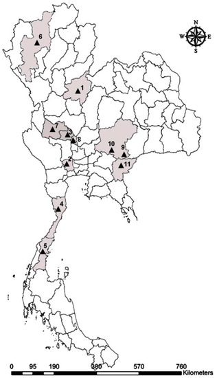 Landmark Data to Distinguish and Identify Morphologically Close Tabanus ...