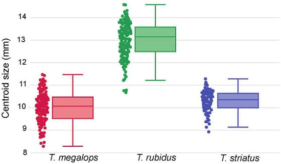 Landmark Data to Distinguish and Identify Morphologically Close Tabanus ...