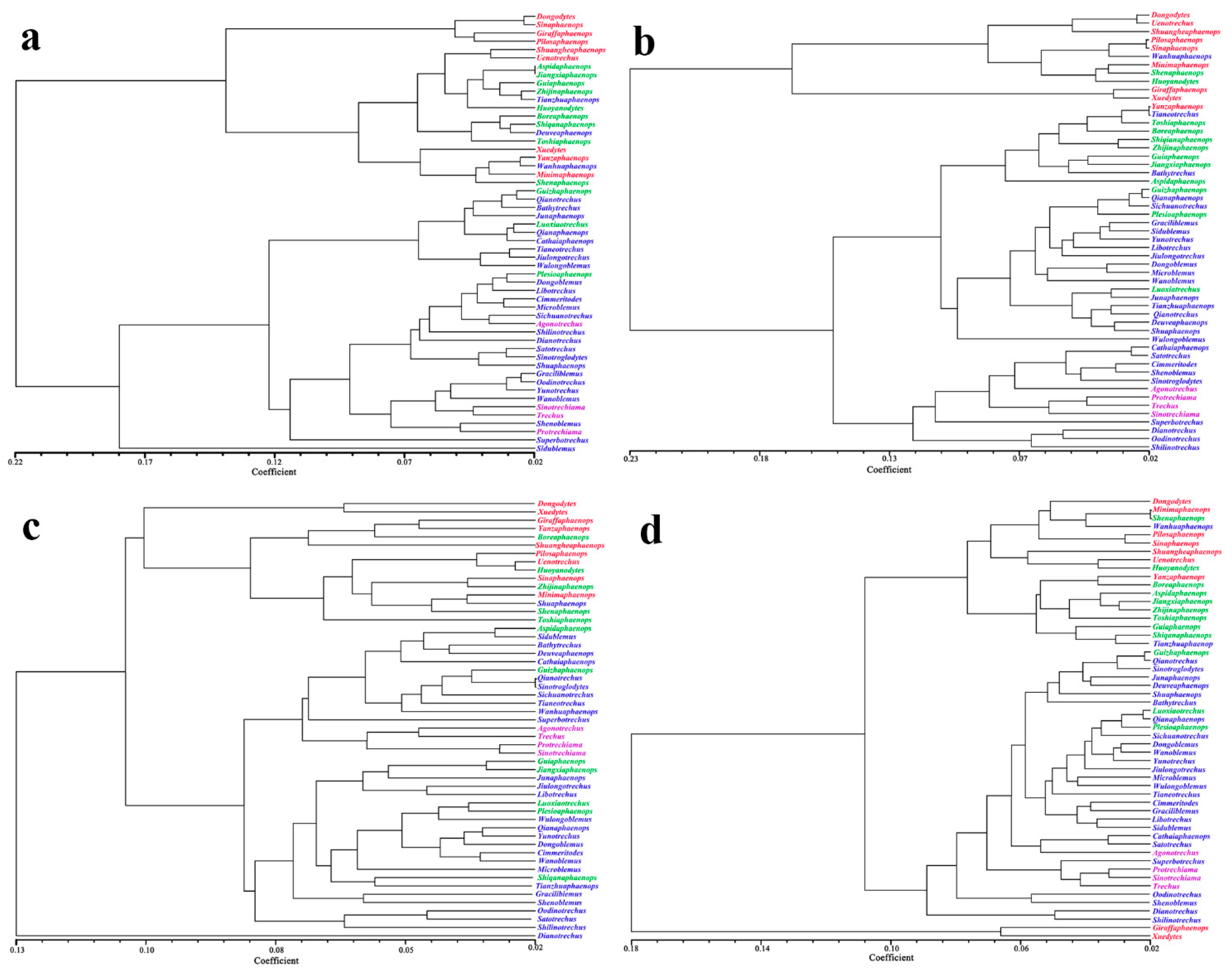 Morphological Adaptation of Cave-Dwelling Ground Beetles in China ...