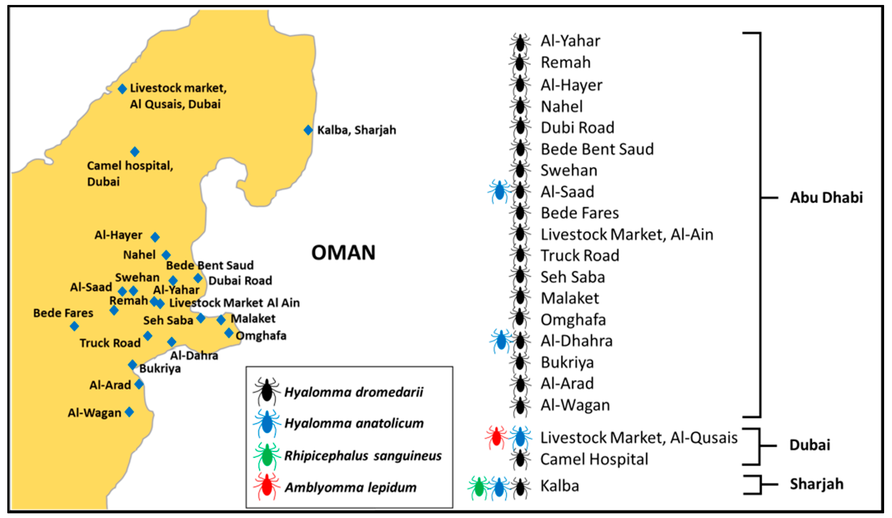 Prevalence, Distribution, and Molecular Record of Four Hard Ticks from ...