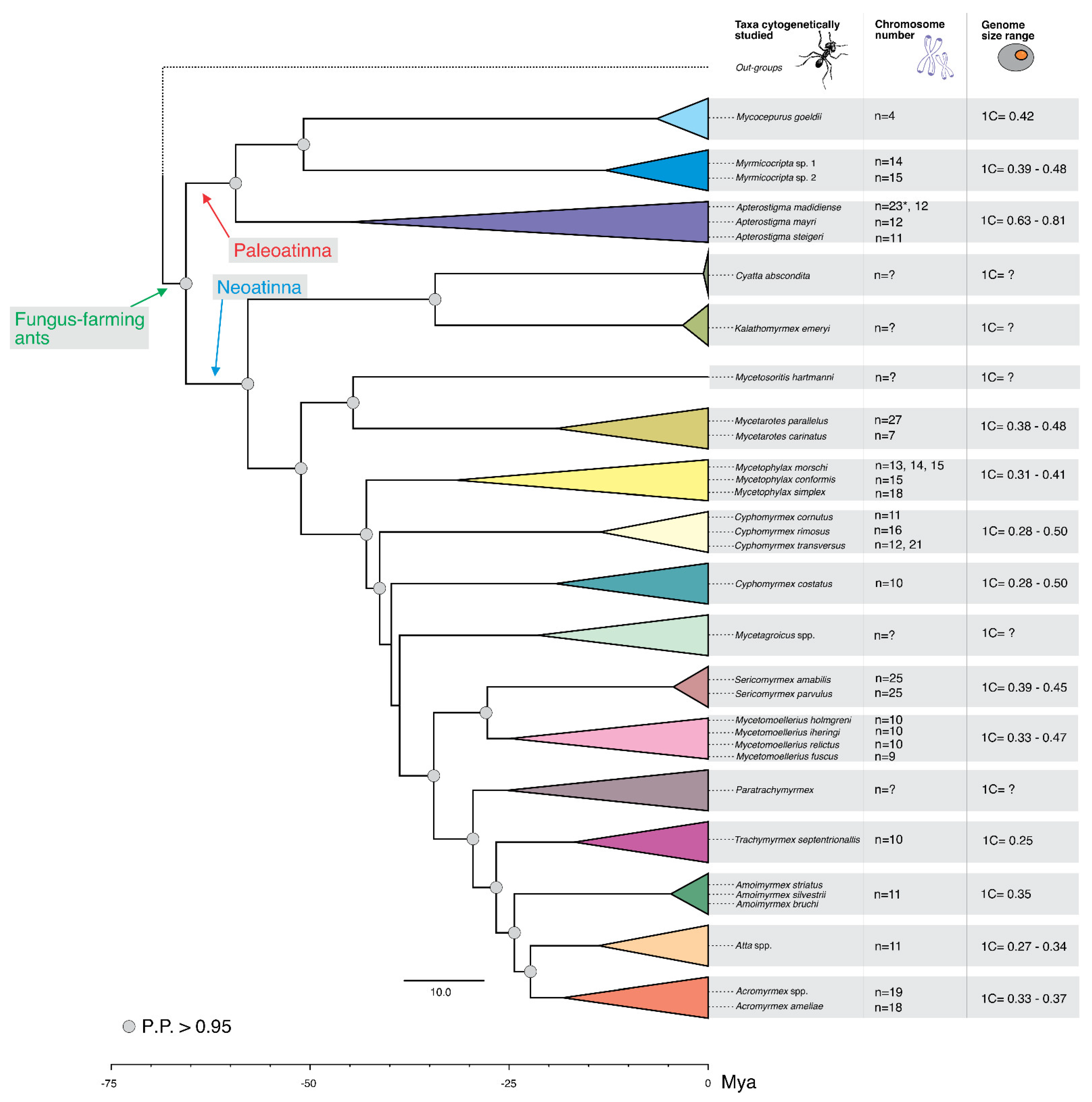 Karyotype Diversity, Mode, and Tempo of the Chromosomal Evolution of ...