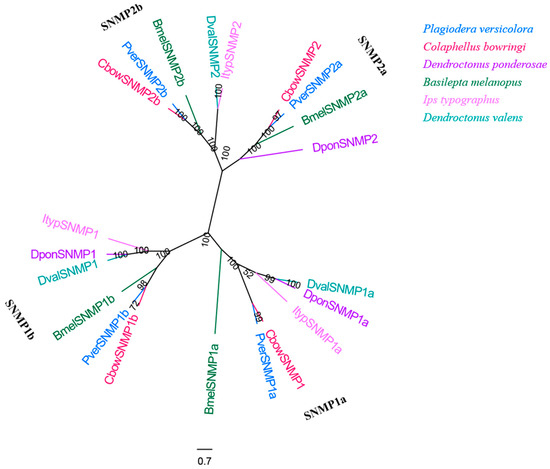 Identification of Chemosensory Genes Based on the Antennal ...