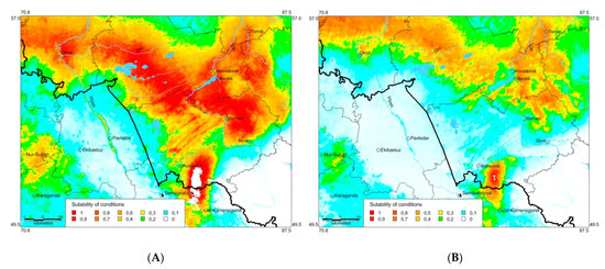 The Handsome Cross Grasshopper Oedaleus decorus (Germar, 1825 ...
