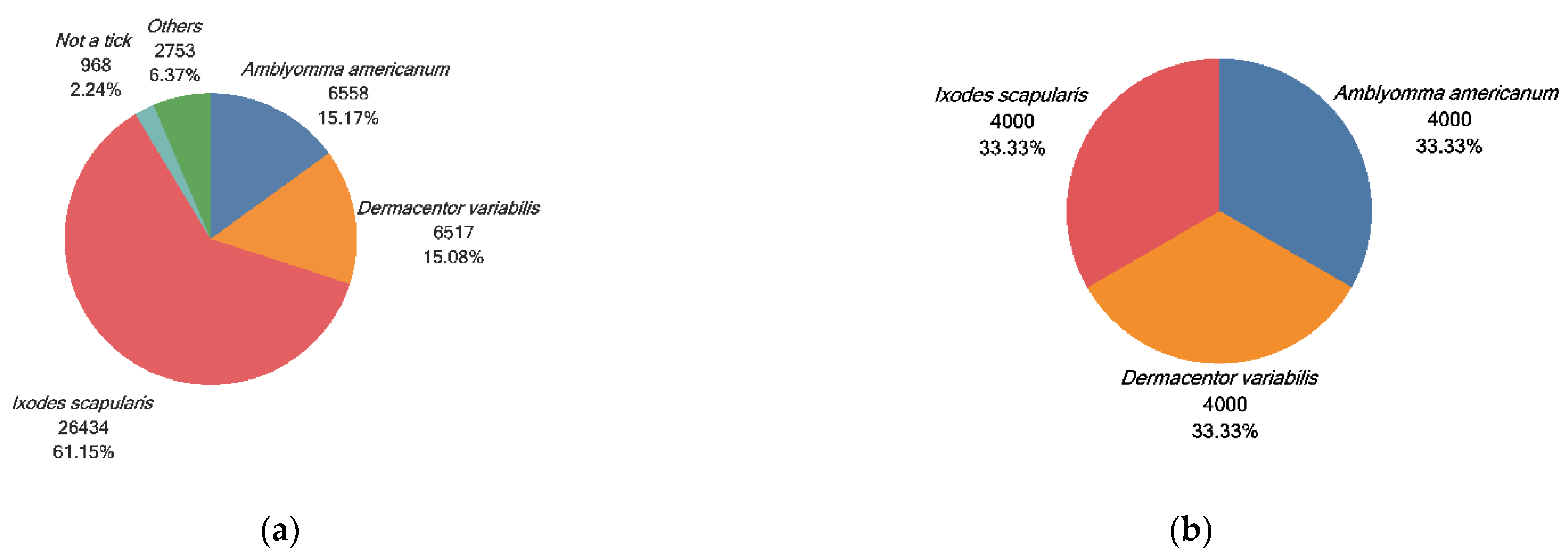 A Computer Vision-Based Approach for Tick Identification Using Deep Learning Models