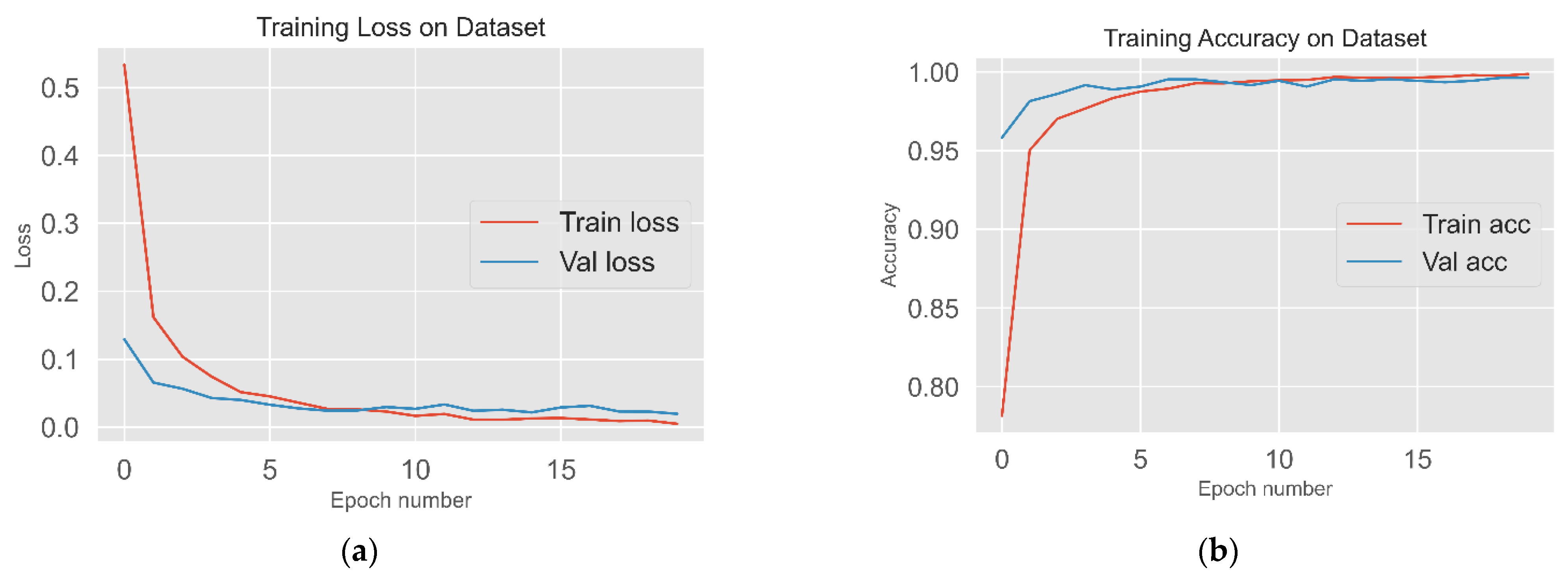 A Computer Vision-Based Approach for Tick Identification Using Deep Learning Models
