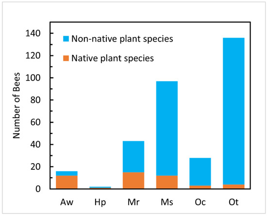Non-Native Non-Apis Bees Are More Abundant on Non-Native Versus Native ...