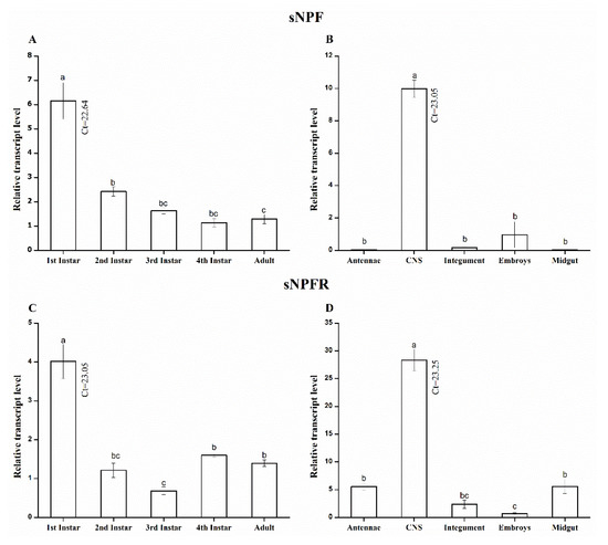 Short Neuropeptide F and Its Receptor Regulate Feeding Behavior in Pea ...