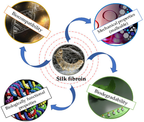 The Contribution of Silk Fibroin in Biomedical Engineering