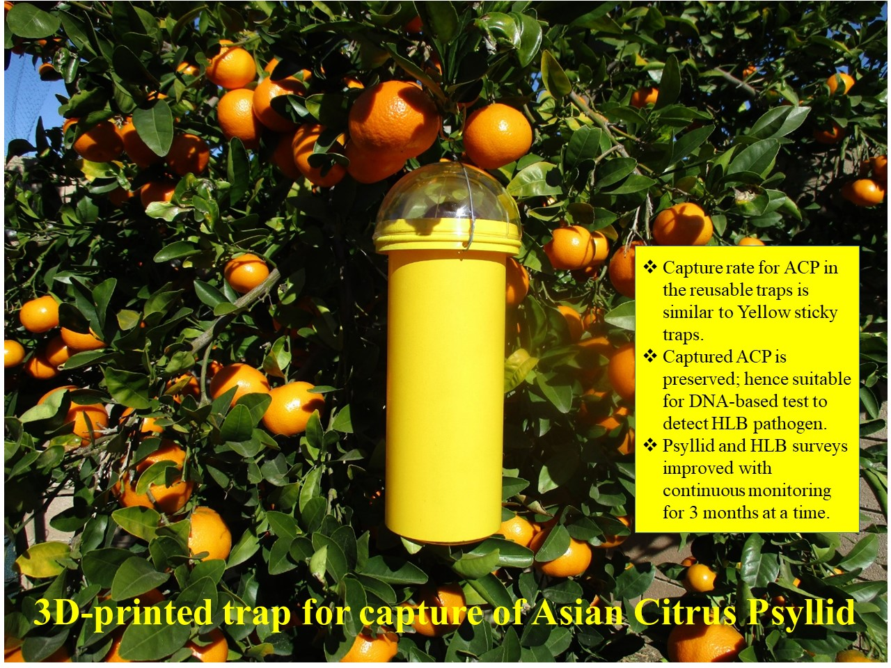 Insects | Free Full-Text | The Development and Evaluation of Insect ...