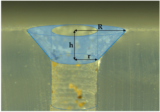 Natural Repellents as a Method of Preventing Ant Damage to ...