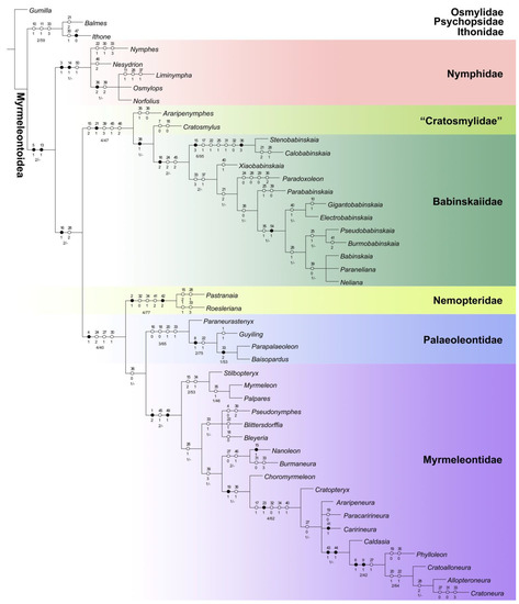 New Cretaceous Lacewings in a Transitional Lineage of Myrmeleontoidea ...