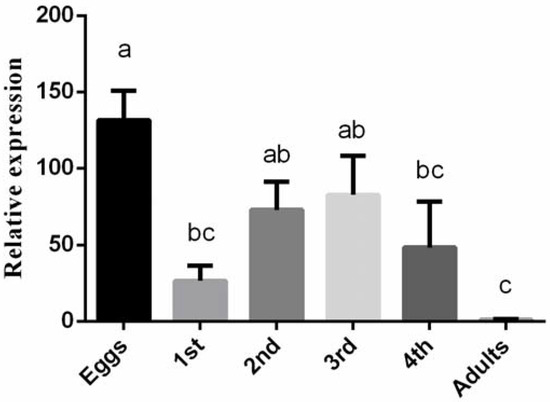 Involvement of Laccase2 in Cuticle Sclerotization of the Whitefly ...