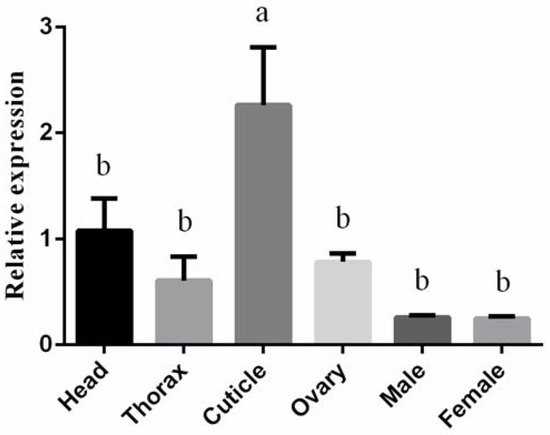 Involvement of Laccase2 in Cuticle Sclerotization of the Whitefly ...