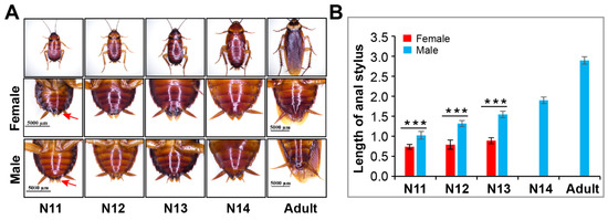 Life-History Traits from Embryonic Development to Reproduction in the ...