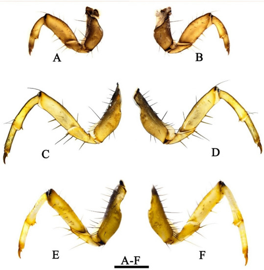 Insects | An Open Access Journal from MDPI