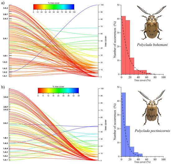 Insects | An Open Access Journal from MDPI