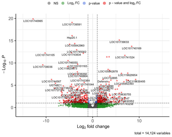 Insects | An Open Access Journal from MDPI