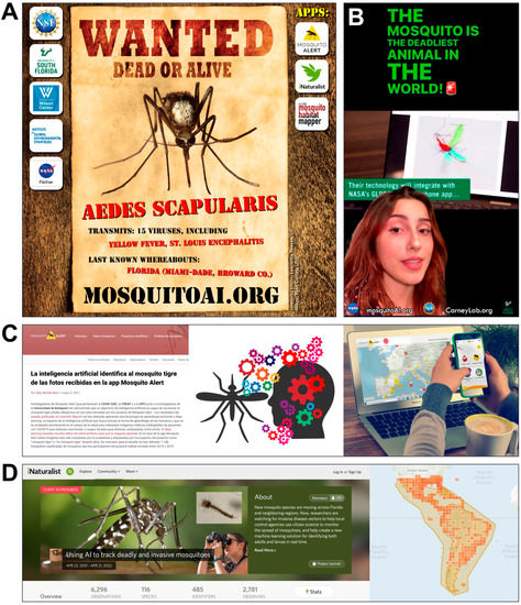 Insects | An Open Access Journal from MDPI