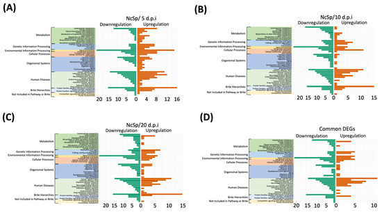 Insects | An Open Access Journal from MDPI