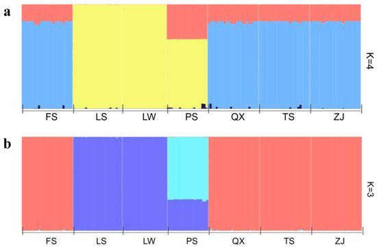 Insects | An Open Access Journal from MDPI