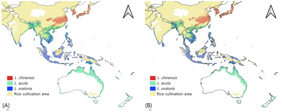 Evaluation of Spatial Distribution of Three Major Leptocorisa ...