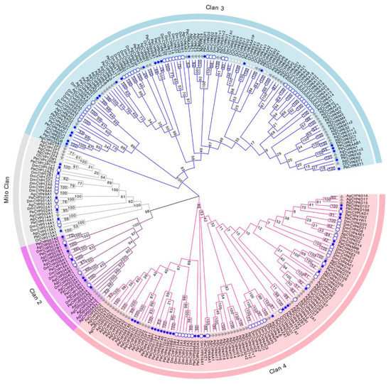 Genome-Wide Identification of P450 Genes in Chironomid Propsilocerus ...