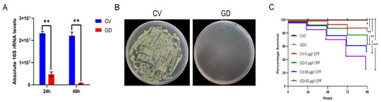 Genome-Wide Identification of P450 Genes in Chironomid Propsilocerus ...