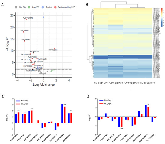 Genome-Wide Identification of P450 Genes in Chironomid Propsilocerus ...