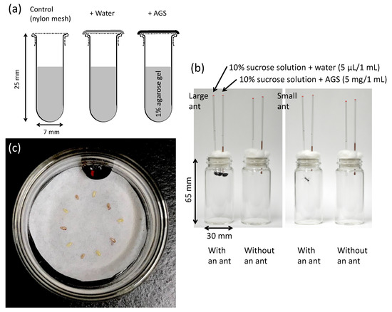 Functions of Egg-Coating Substances Secreted by Female Accessory Glands ...