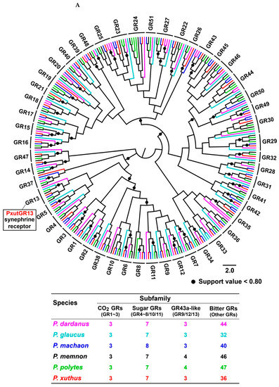 Insects | Free Full-Text | Genome-Wide Analysis of Odorant and ...