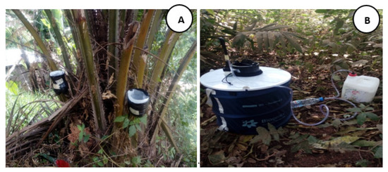 Aedes Mosquito Surveillance Using Ovitraps, Sweep Nets, and Biogent ...