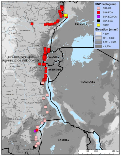 Diversity and Distribution of Whiteflies Colonizing Cassava in Eastern ...