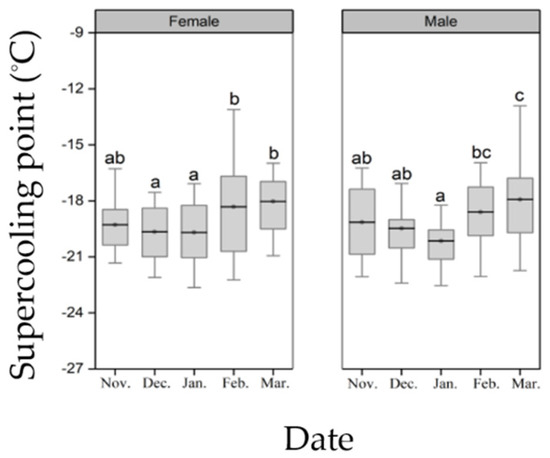 Energy Consumption and Cold Hardiness of Diapausing Fall Webworm Pupae