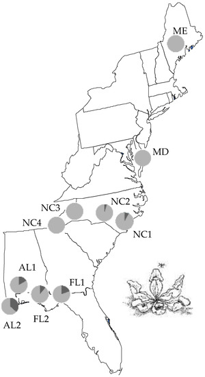 Insects | Special Issue : A Commemorative Issue in Appreciation of ...