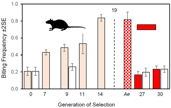 Insects | Special Issue : A Commemorative Issue in Appreciation of ...