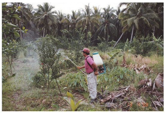 Integrated Pest Management Strategies for Asian Citrus Psyllid ...